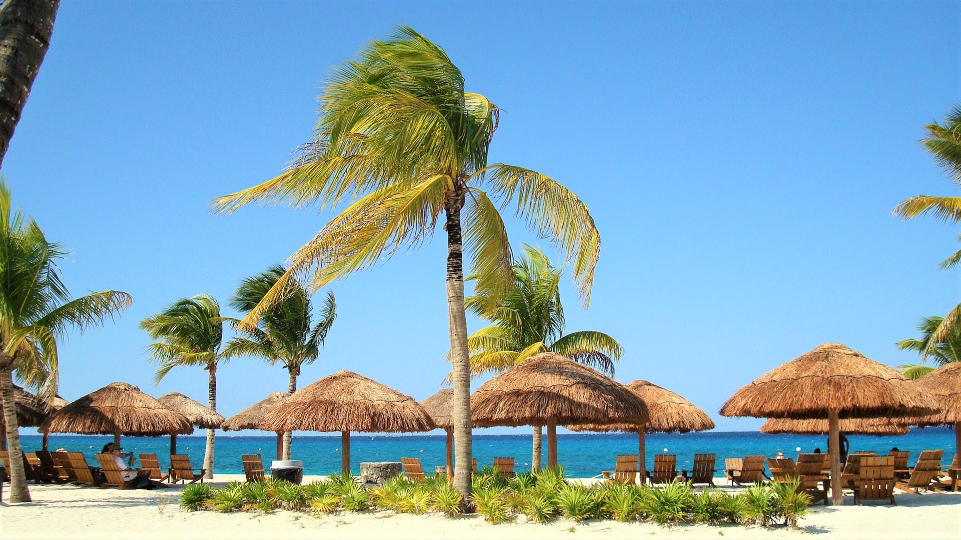 Royal Caribbean - Tūrisma aģentūra Latvia Tours – Atpūtas ceļojumi un ...